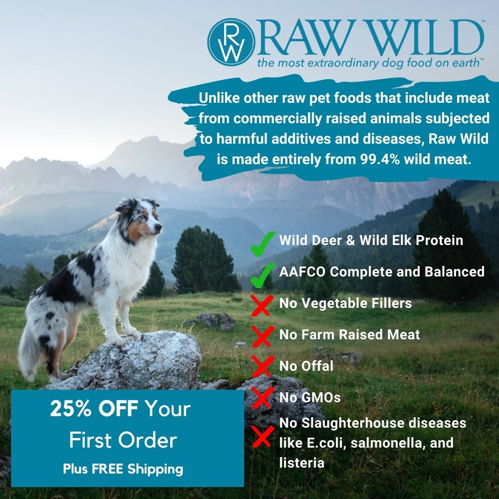 The Truth About Raw Dog Food - Raw Wild